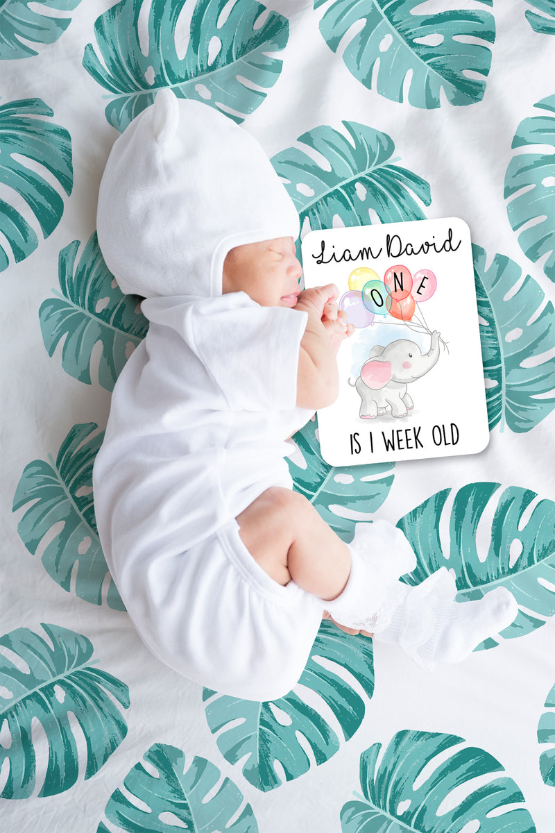 Personalized Milestone Cards - Caiden Designs